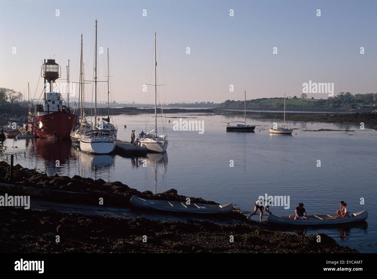 Strangford Lough, Co Down, Island; Boats In A Marina Stock Photo - Alamy