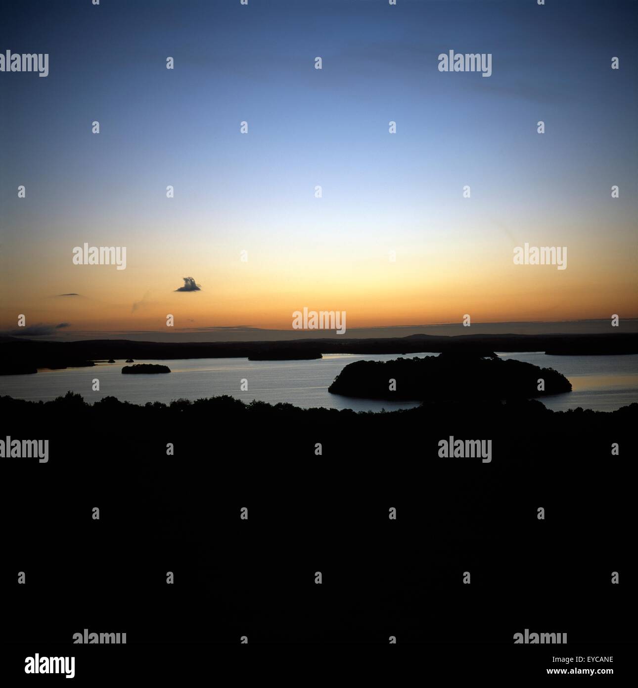 Lough key forest and activity park hi-res stock photography and images ...