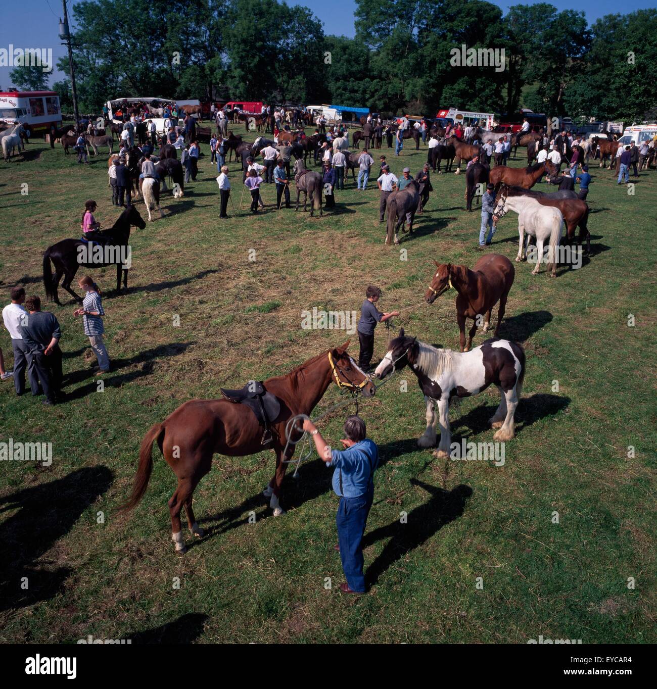 Spancil Hill Horse Fair, Co Clare, Ireland; Horses In A Ring At A Horse ...