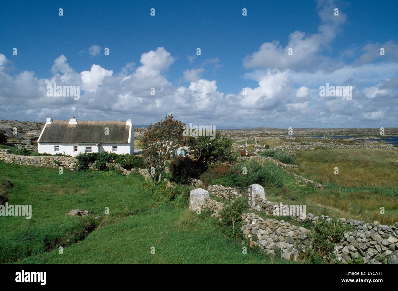 Lettermullan hi-res stock photography and images - Alamy