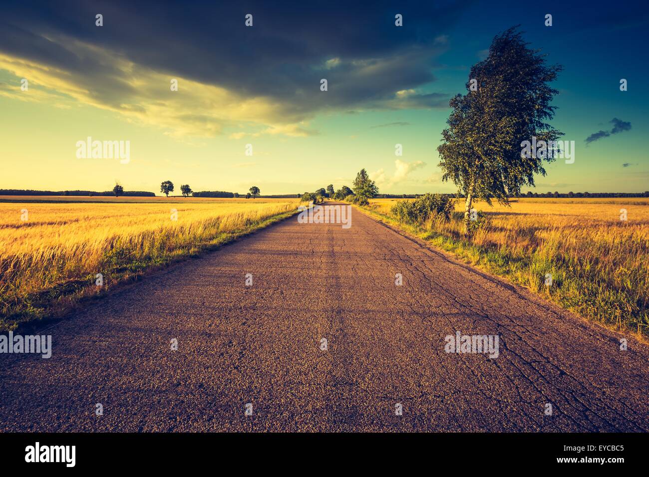 Vintage photo of rural summer landscape with old asphalt road and ...