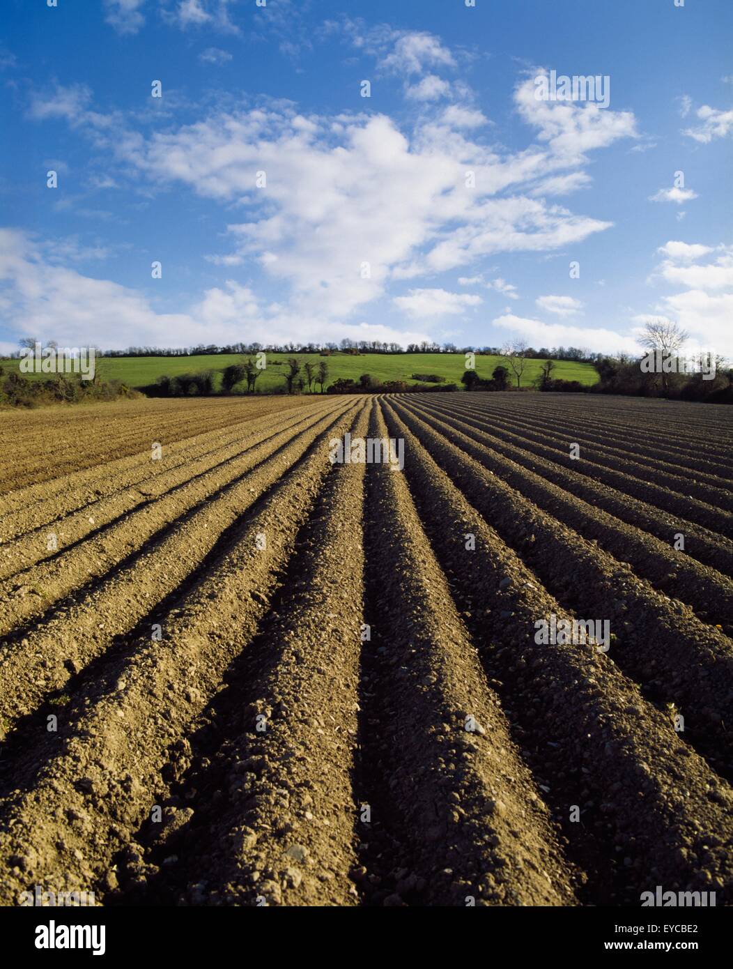 Ploughing, Ploughed Field Stock Photo - Alamy