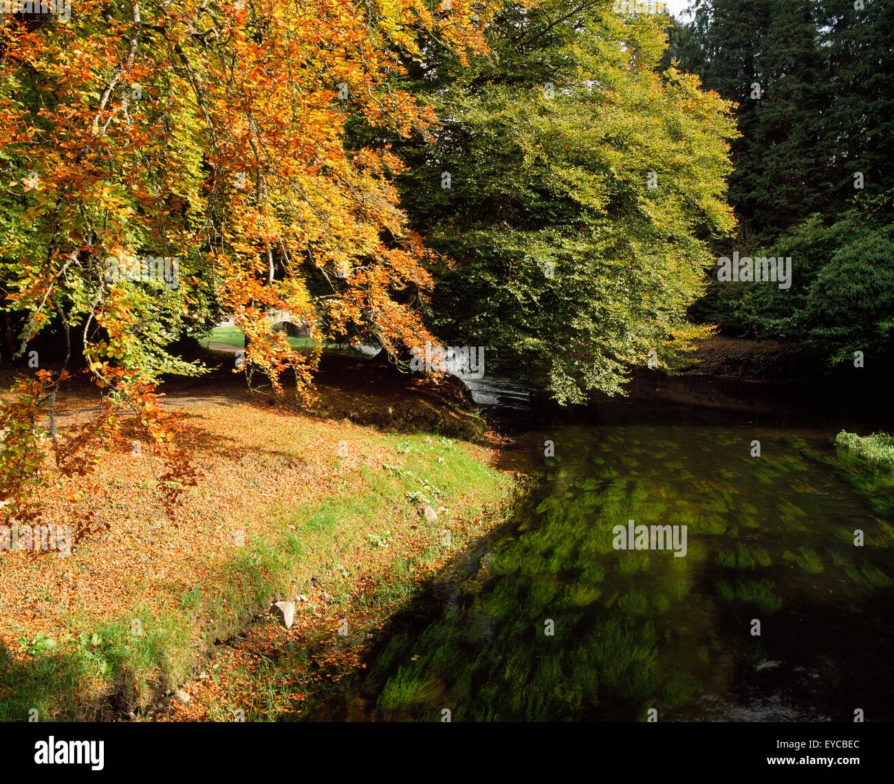 Camcor river hi-res stock photography and images - Alamy