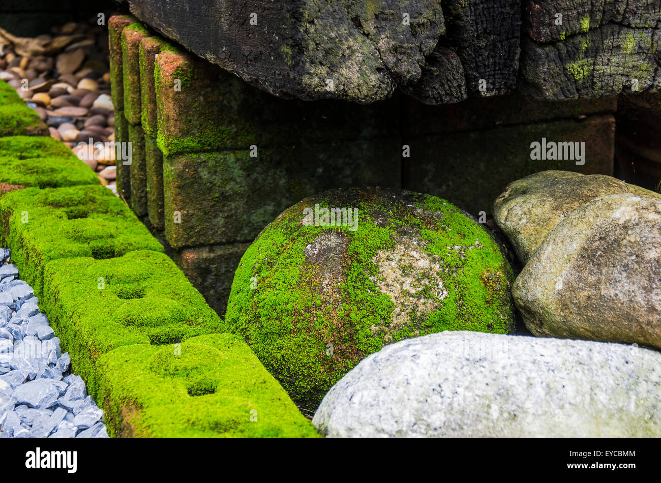 Ornamental Garden with lichen on the stone Stock Photo - Alamy