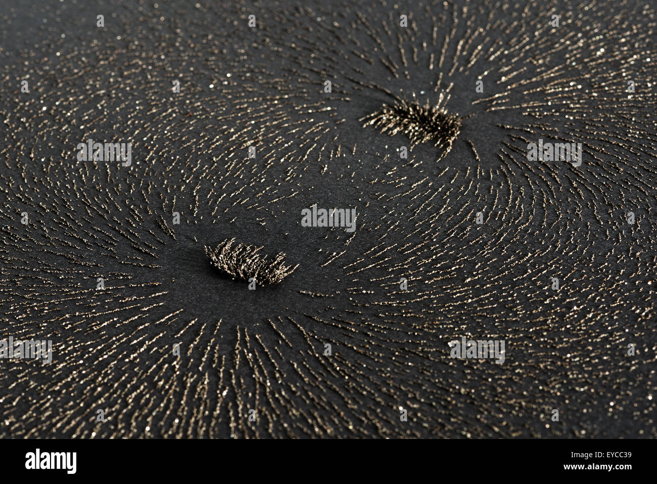 Attraction and repulsion iron metal particles align up along the ...