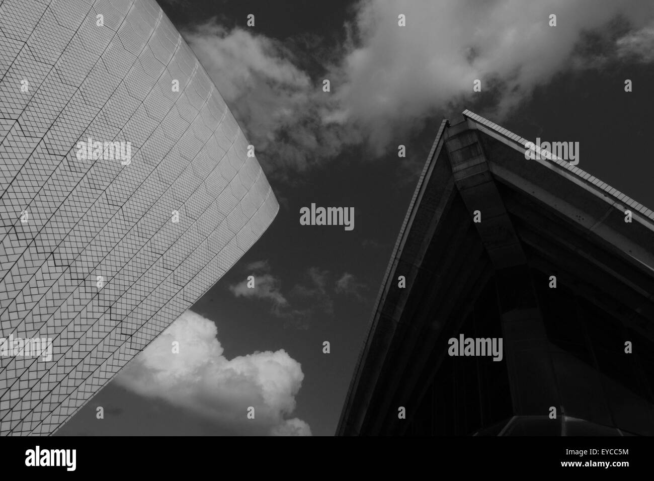 Close up sydney opera house Black and White Stock Photos & Images - Alamy