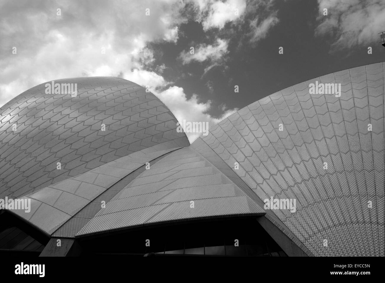 Sydney Opera House close up in black and white Stock Photo - Alamy