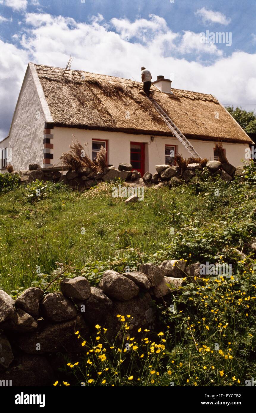 Traditional Thatching, Co Galway Stock Photo - Alamy