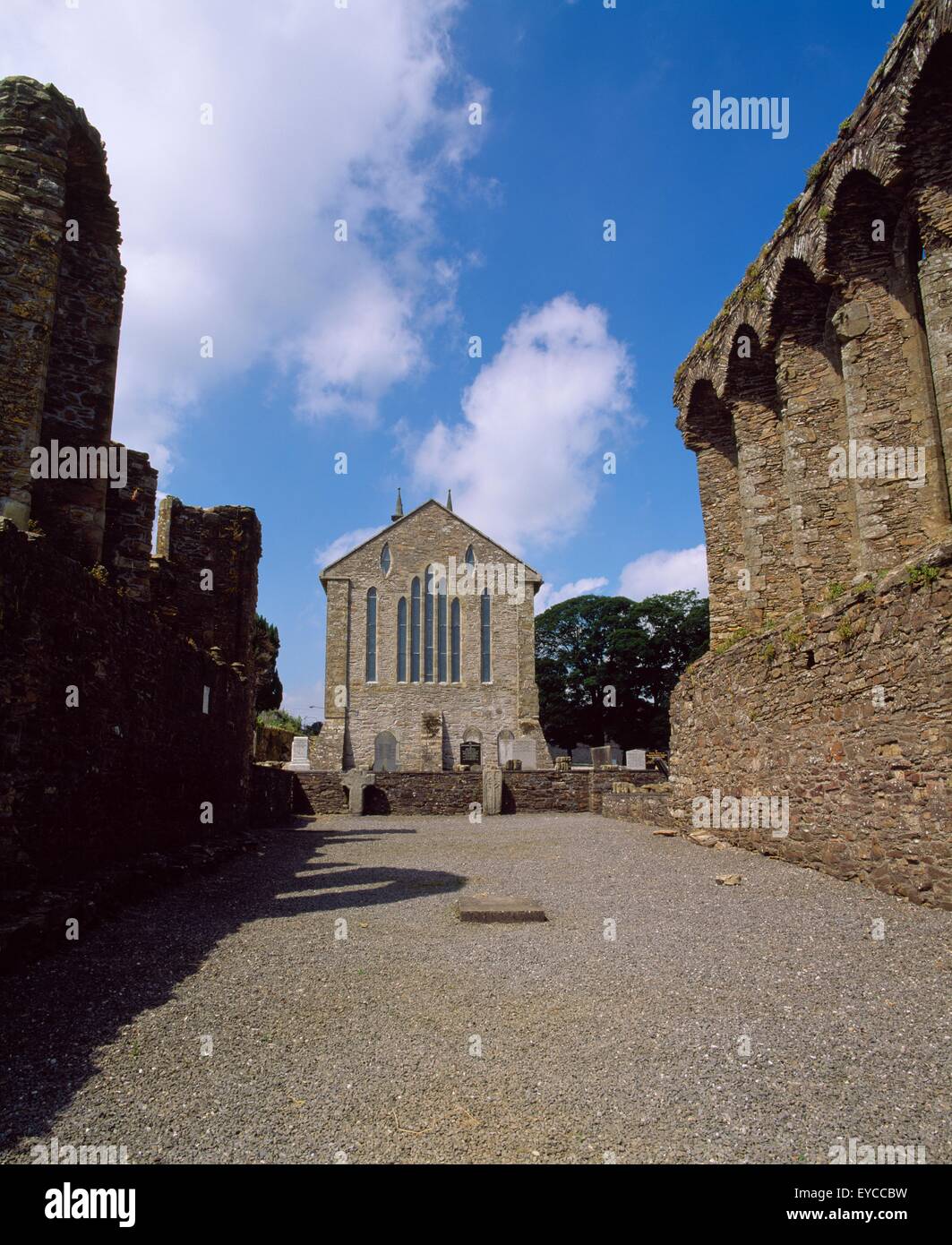 Co Wexford, Ferns, St Mary's Abbey Stock Photo - Alamy