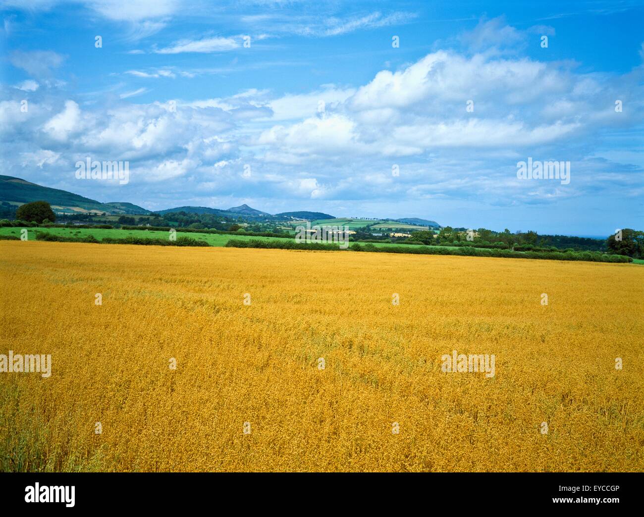 Newtownmountkennedy wicklow hi-res stock photography and images - Alamy