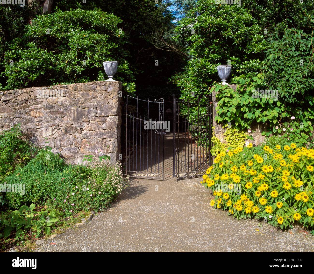 Glenveagh Co Donegal, Walled Potager, Gate With Inula Late Summer Stock ...
