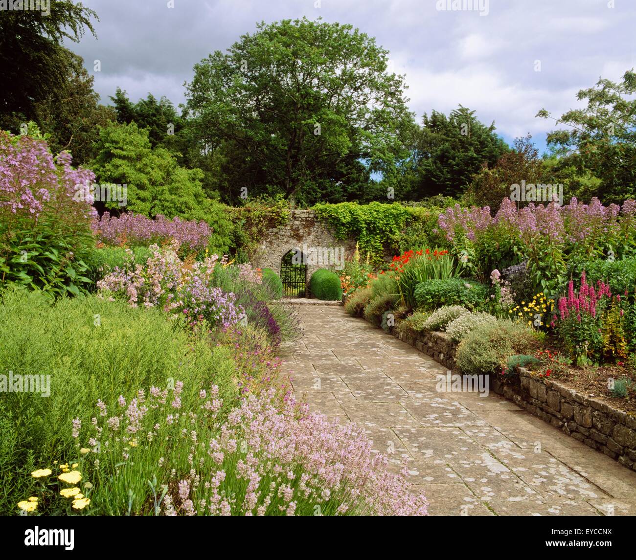 Double Herbacious Border, Walled Garden, Ardsallagh, Co Tipperary ...