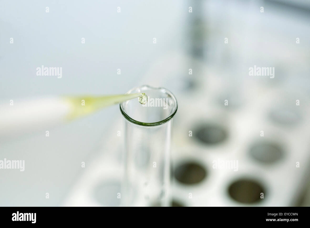 Multi Well Sample Tray High Resolution Stock Photography and Images - Alamy