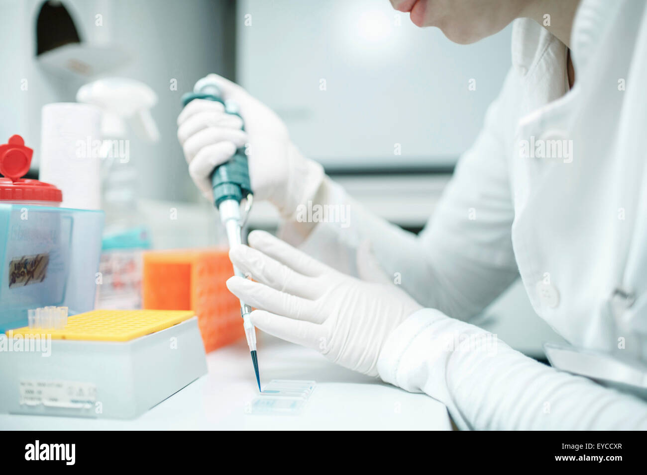 Female researcher using multi pipette in lab Stock Photo - Alamy