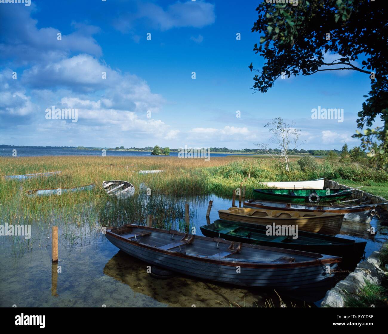 Co Westmeath, Lilliput, Lough Ennel Mullingar Stock Photo - Alamy