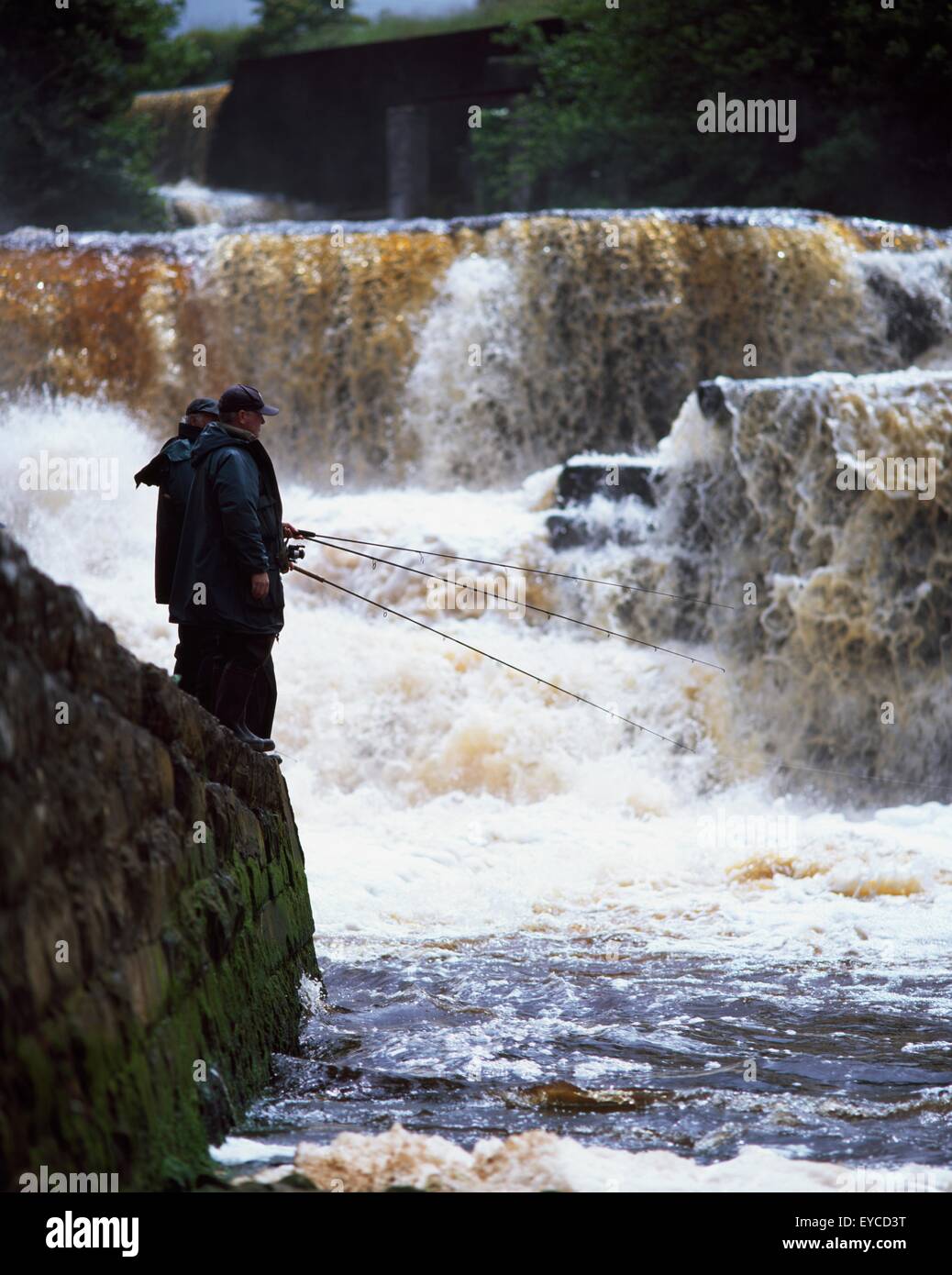 Salmon Fishing, Ballisodare River, Co Sligo, Ireland Stock Photo - Alamy