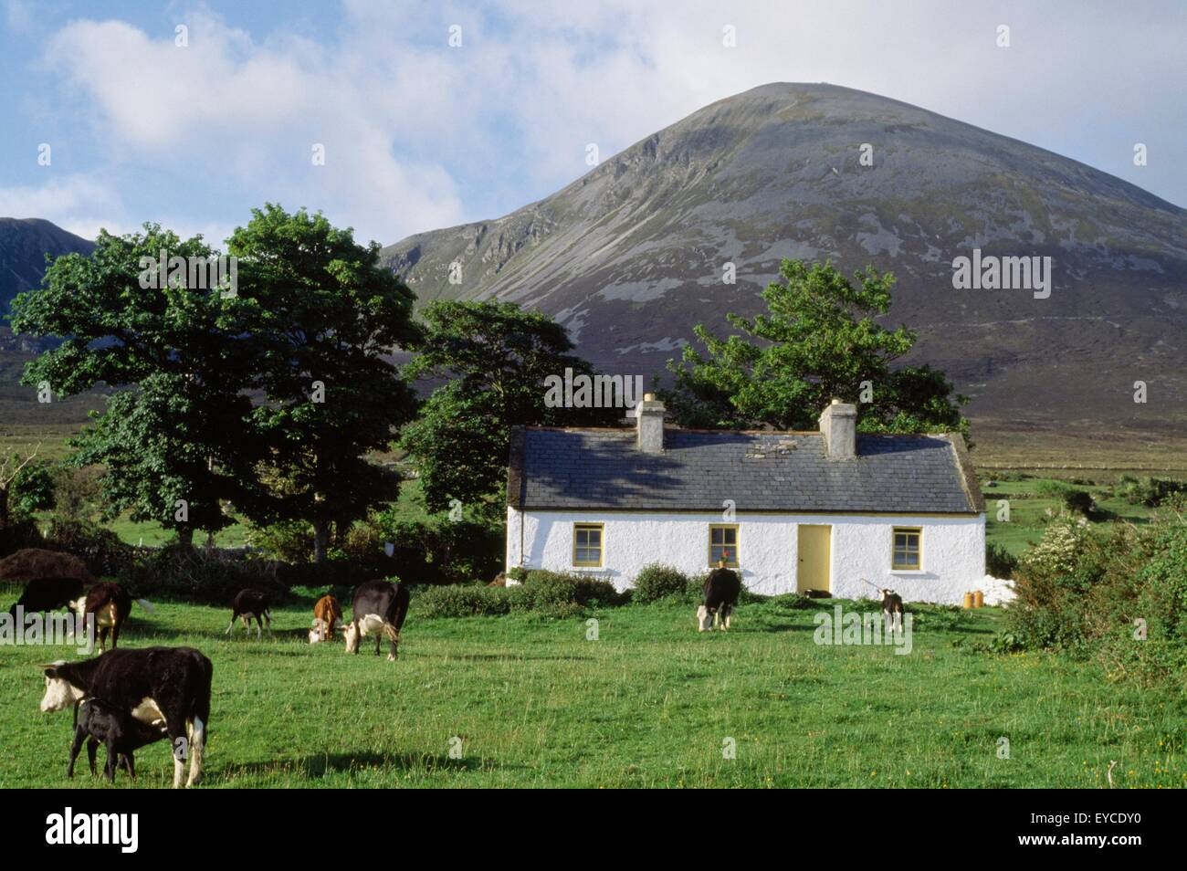 Co Mayo, Croagh Patrick Stock Photo - Alamy