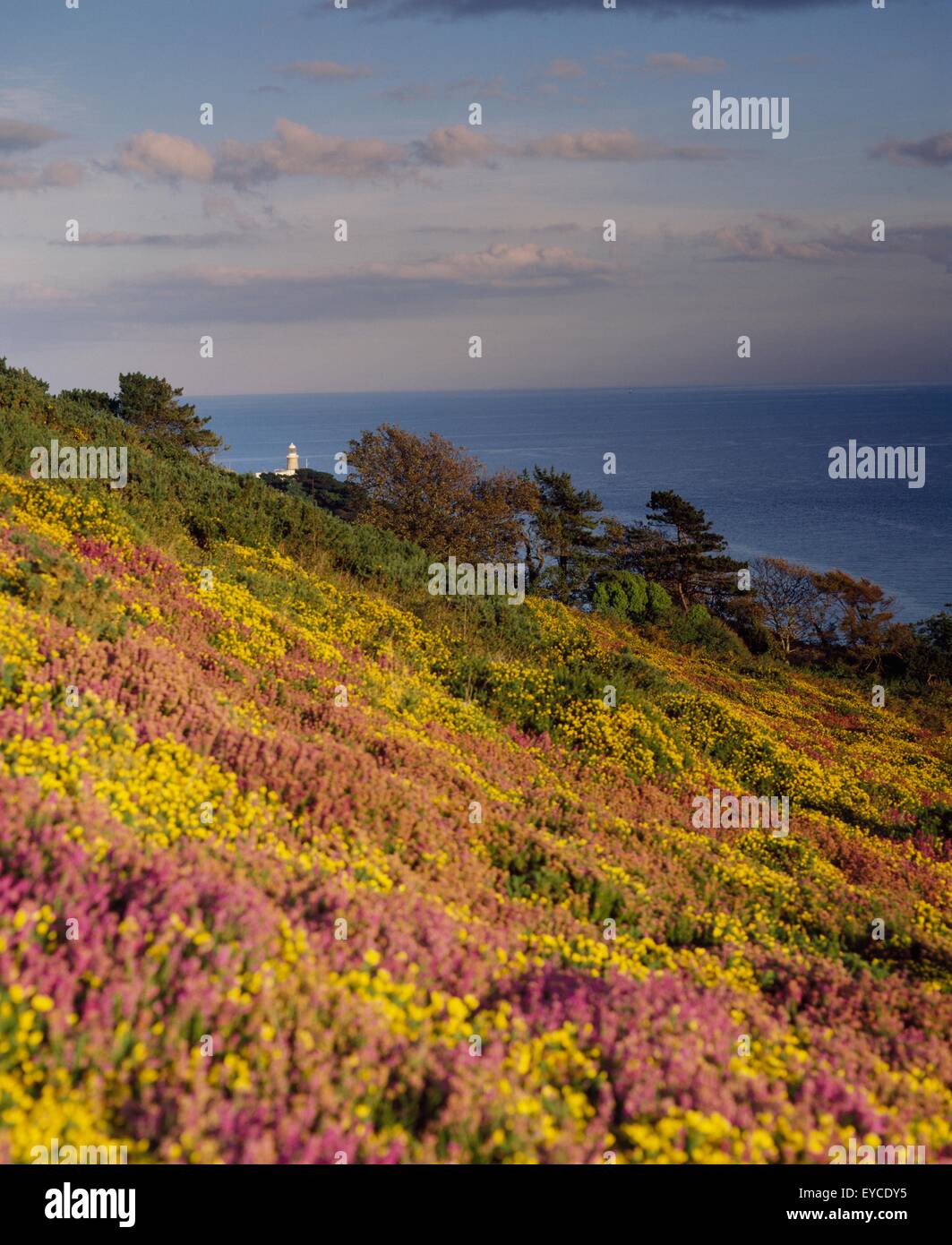Bailey Lighthouse, Howth, County Dublin, Ireland Stock Photo - Alamy