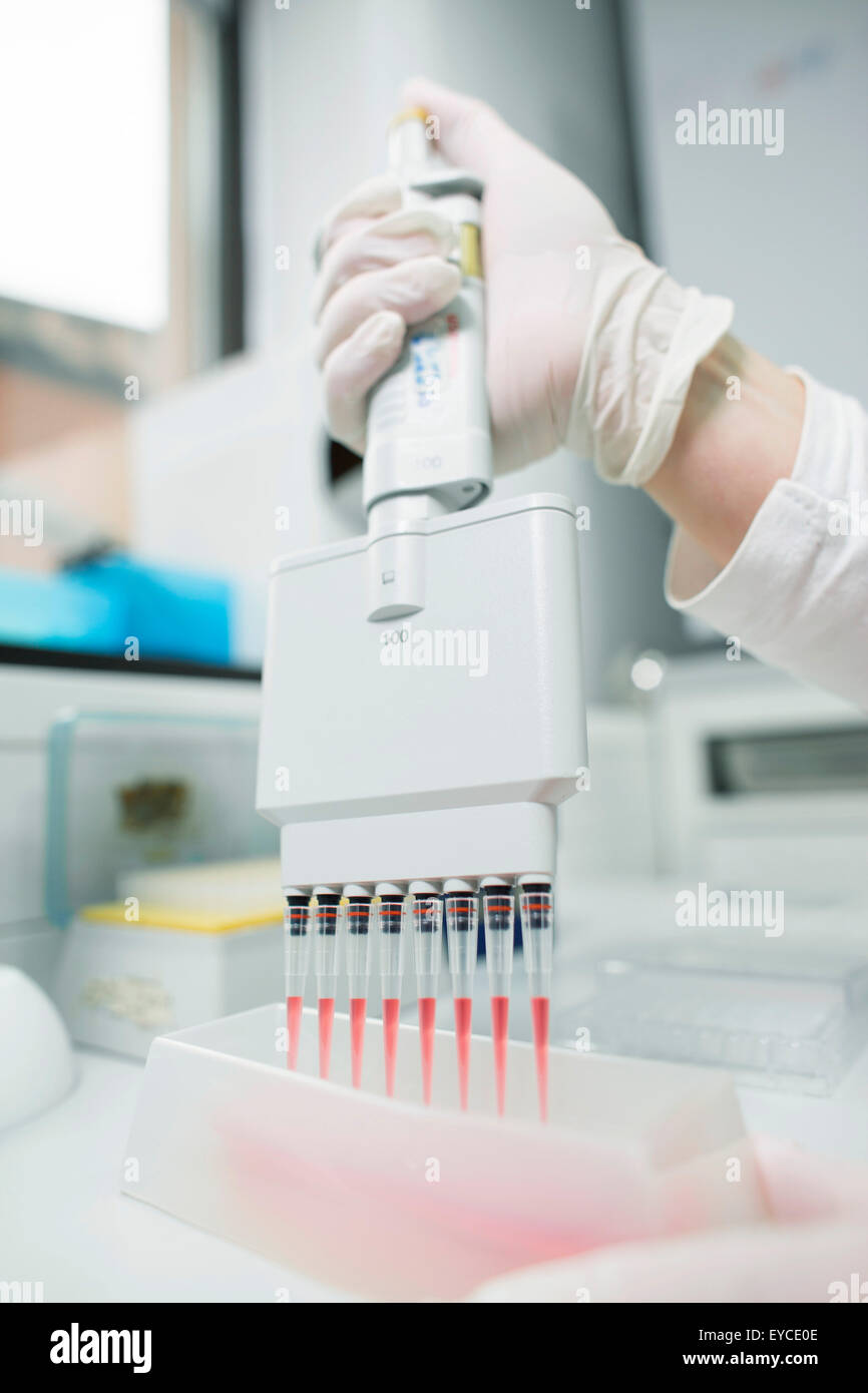 Scientific experiment hi-res stock photography and images - Alamy