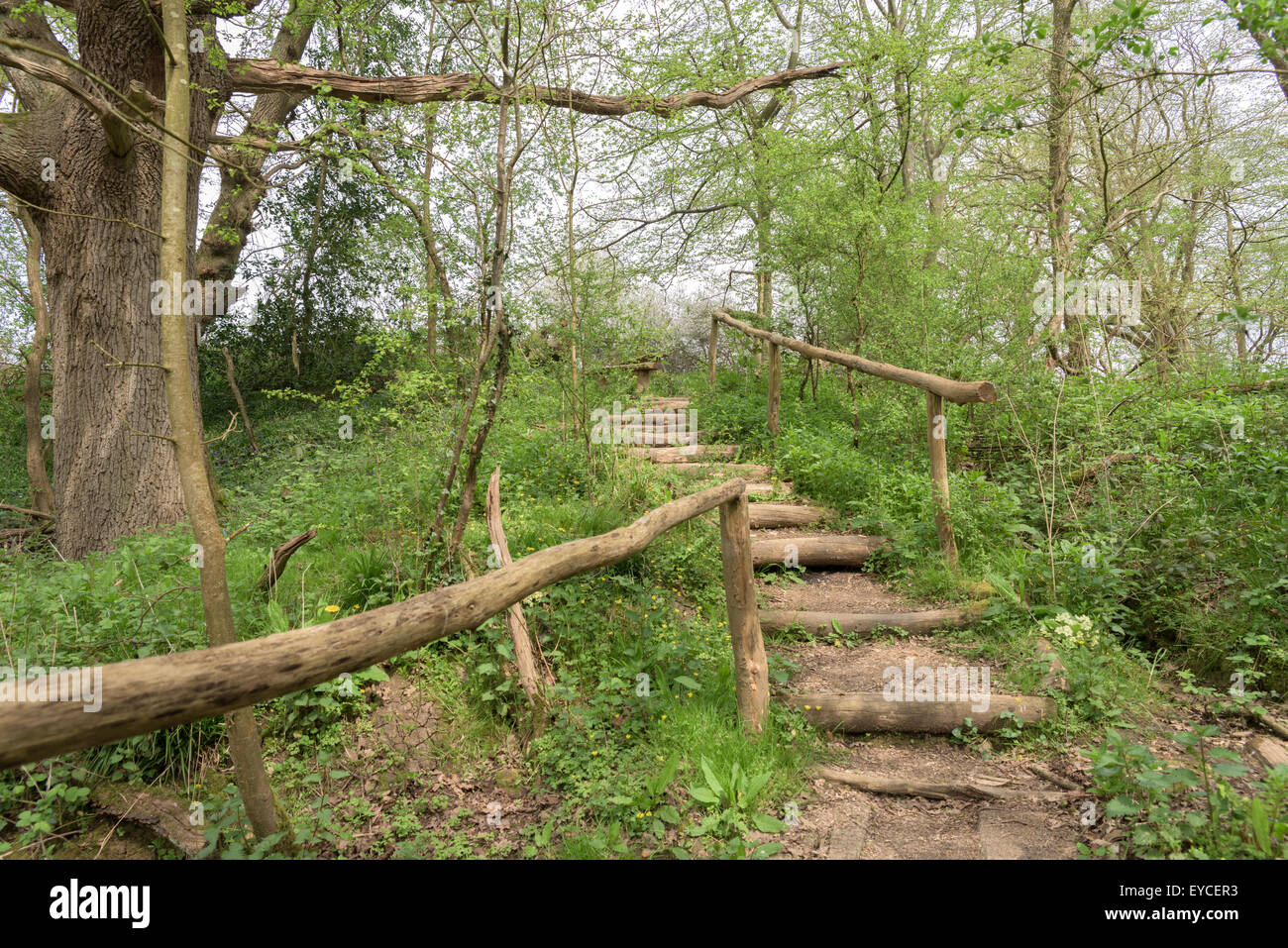 Log steps hi-res stock photography and images - Alamy