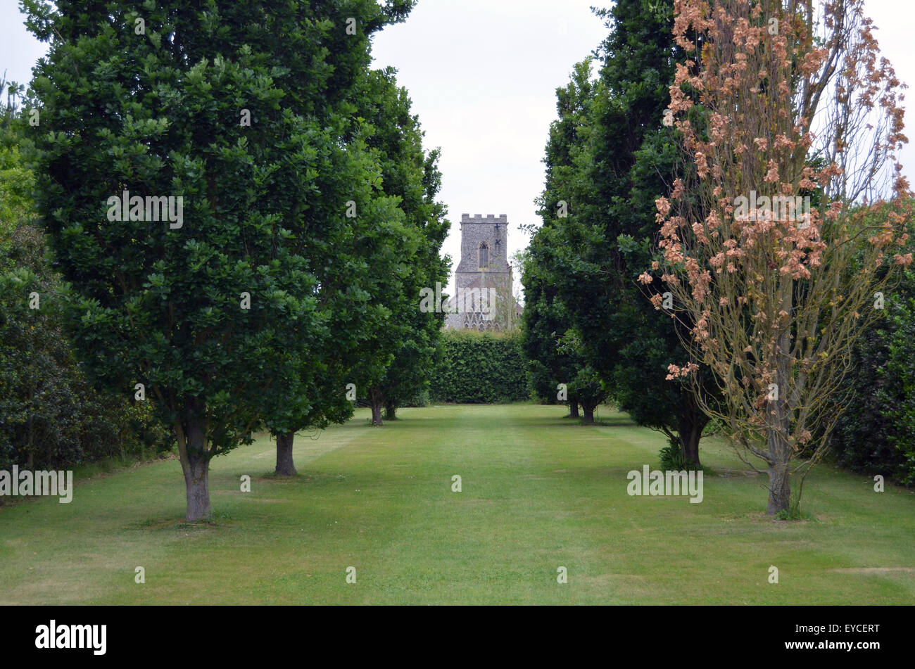 East Ruston vicarage gardens, Norfolk 2015 Stock Photo - Alamy