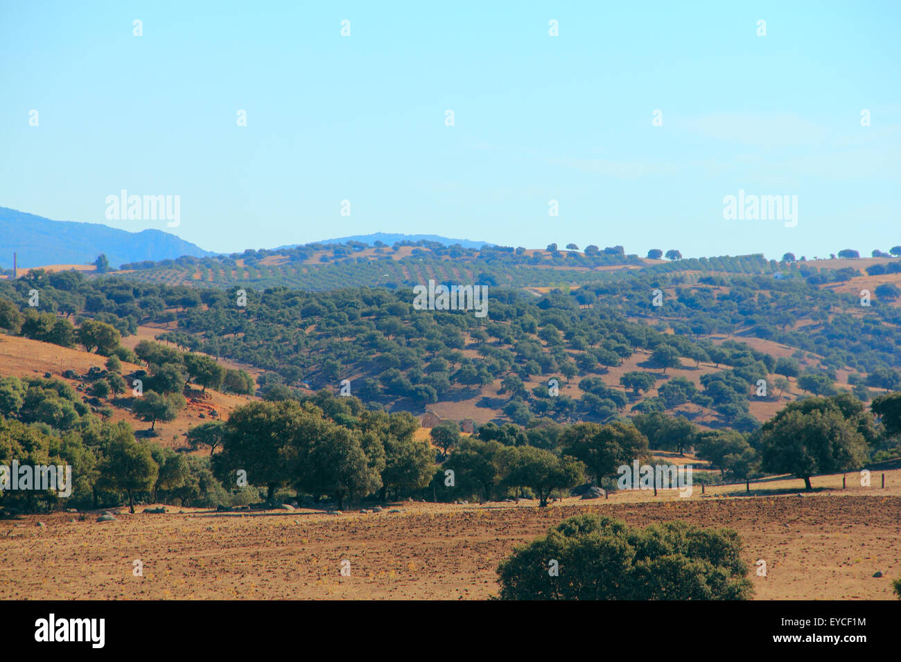 Spanish landscape with mountains fields and trees Stock Photo - Alamy