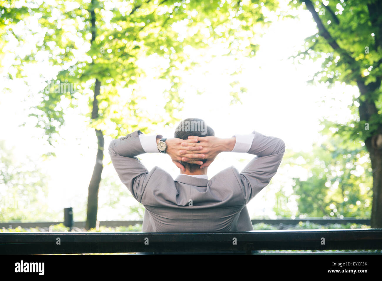 Back view portrait of a businessman resting on the bench outdoors in ...