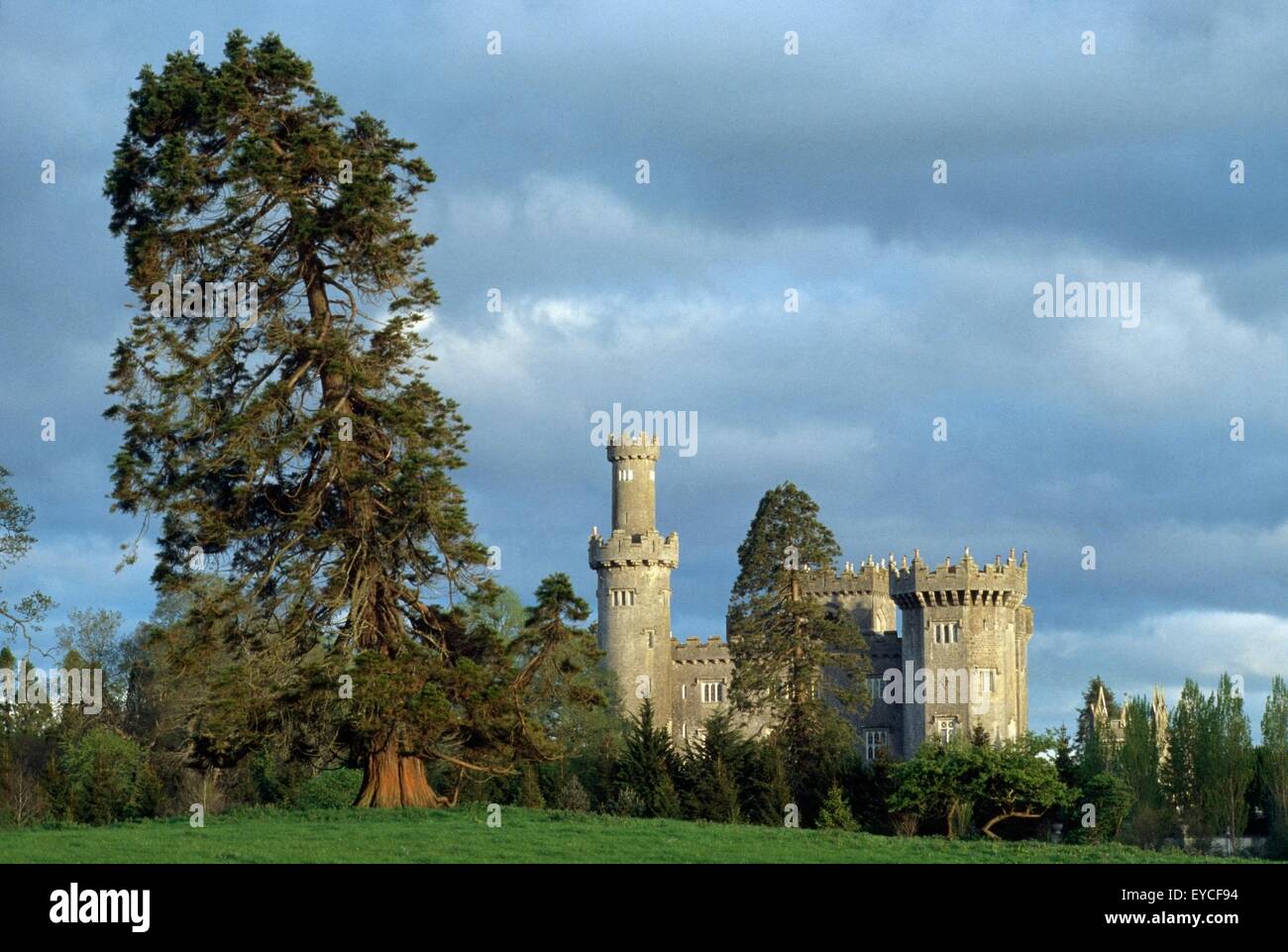 Charleville Castle, County Offaly, Ireland Stock Photo - Alamy