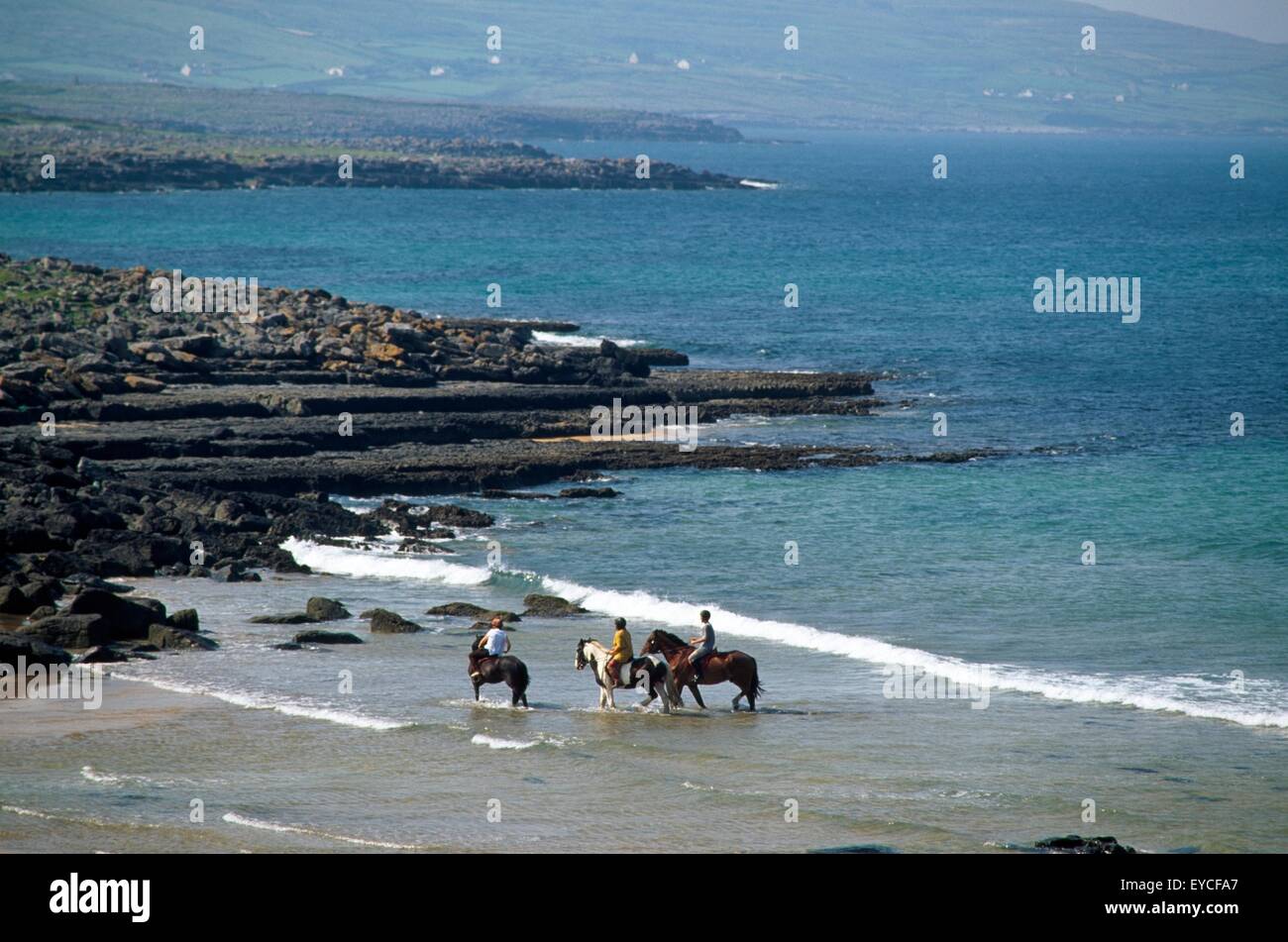 Pony Trekking At Seashore, Fanore, County Clare, Ireland Stock Photo ...