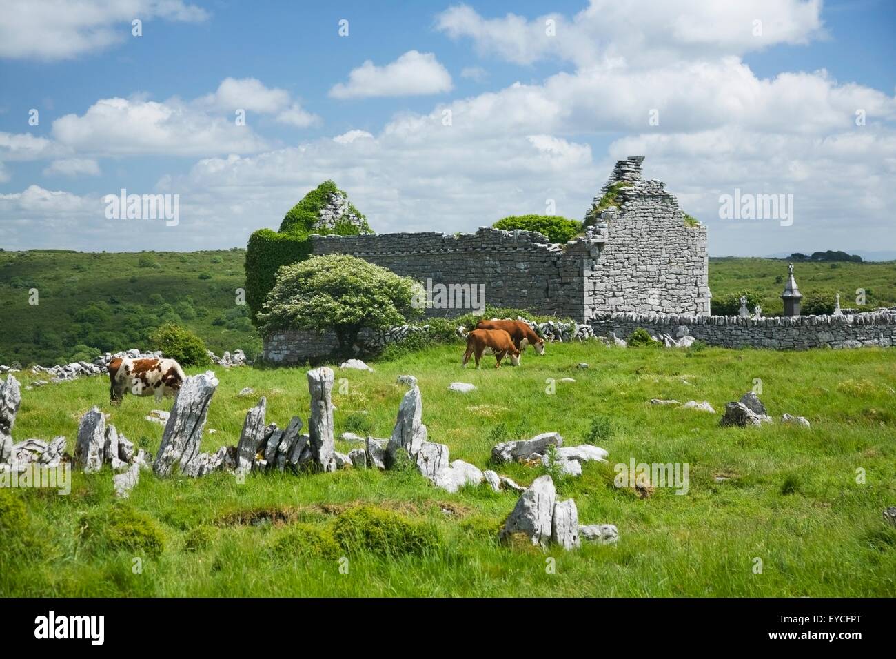 Ruins Of Carron Church, Carran, County Clare, Ireland Stock Photo - Alamy
