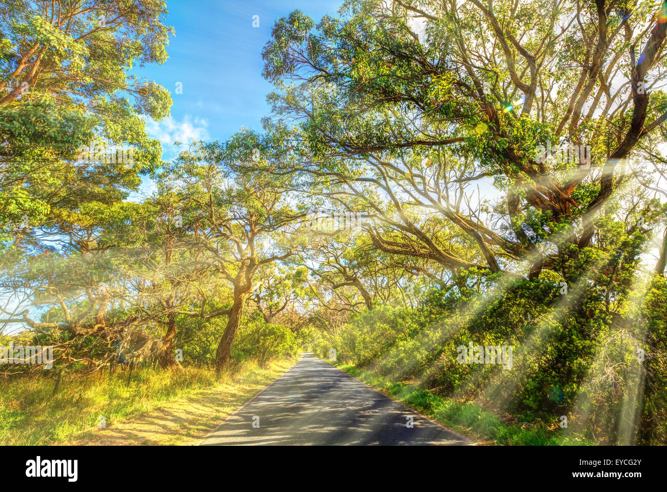Rays of light Stock Photo - Alamy