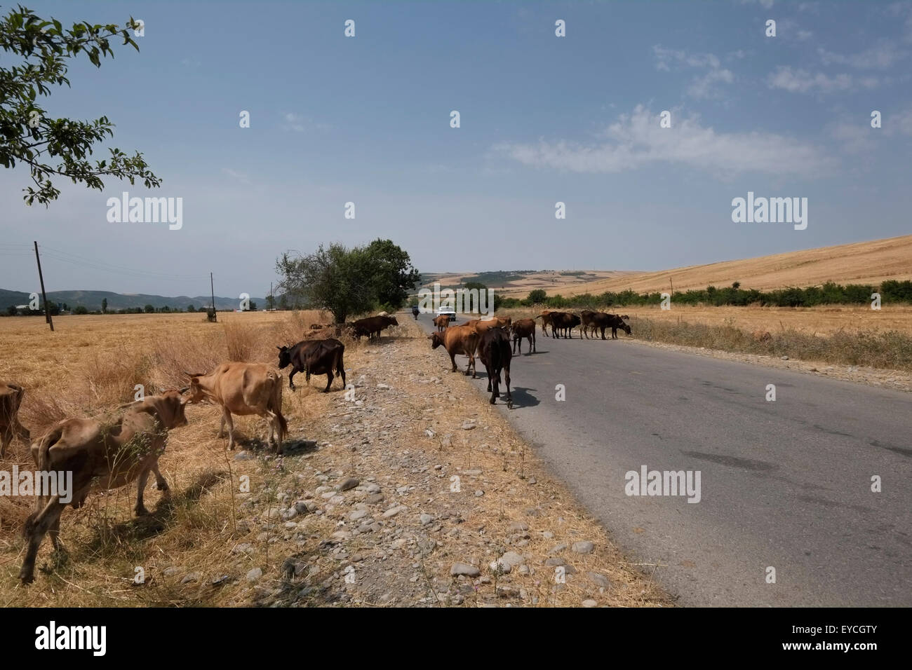 Ismailli hi-res stock photography and images - Alamy