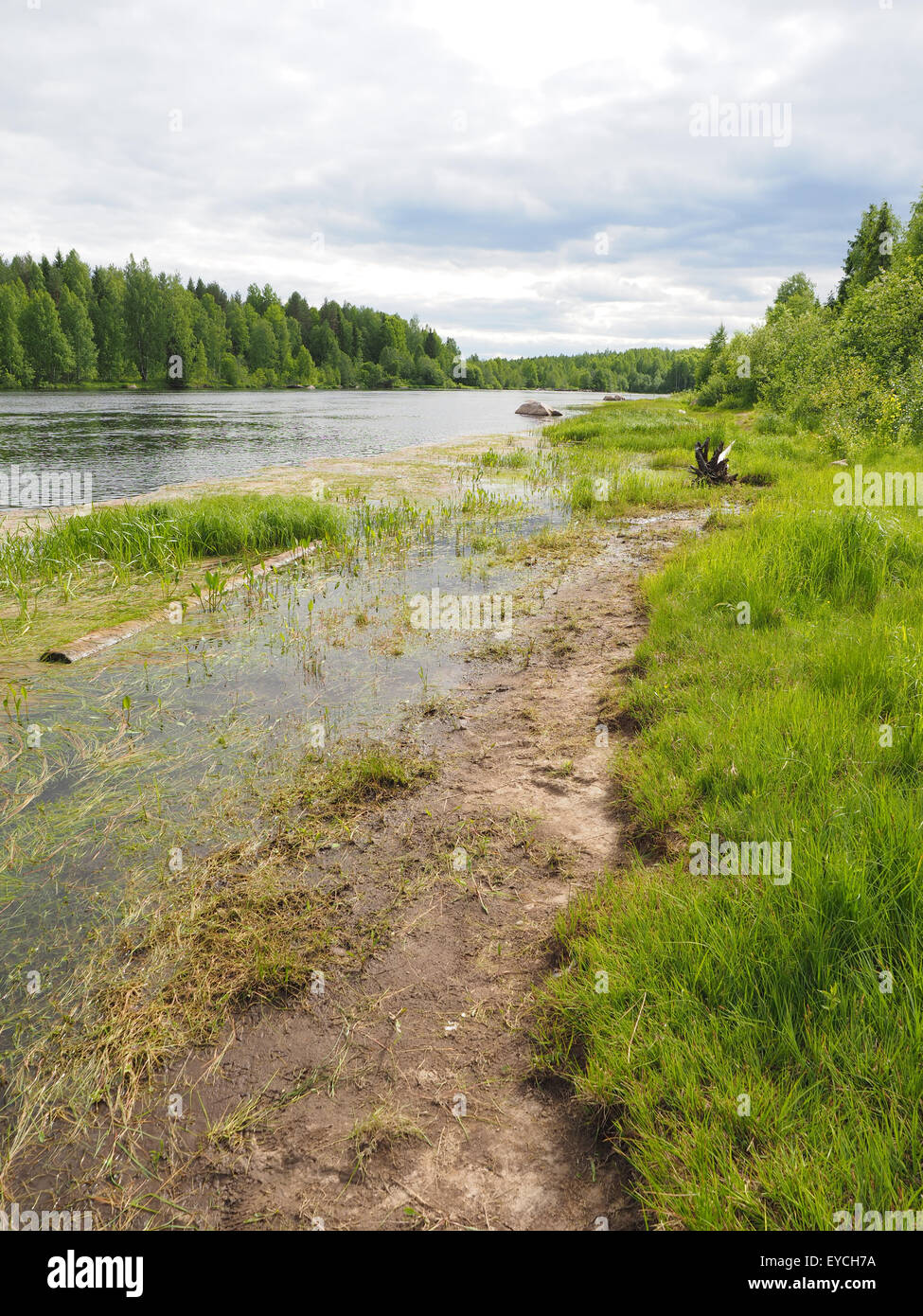 river in summer Stock Photo - Alamy