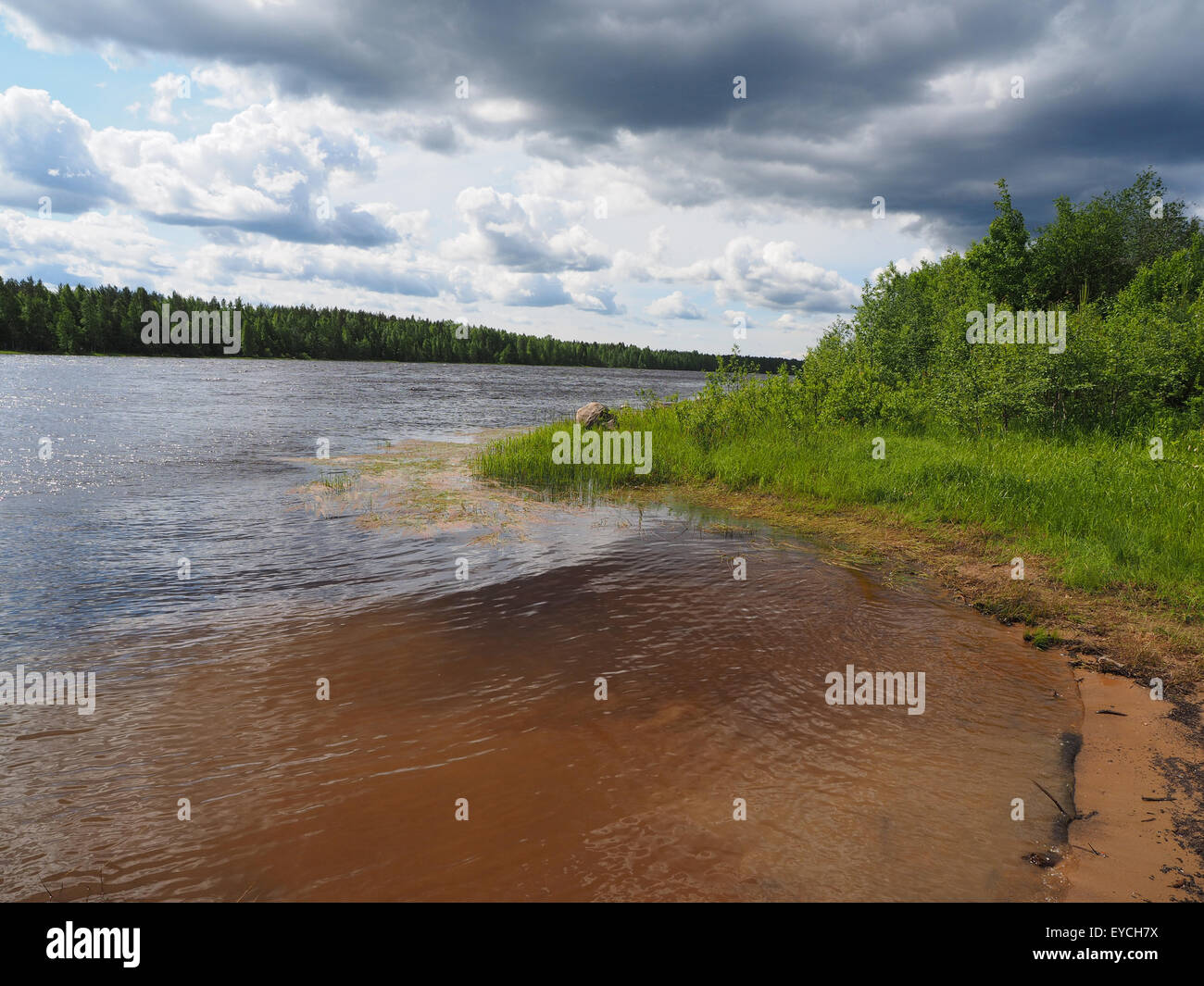 river in summer Stock Photo - Alamy