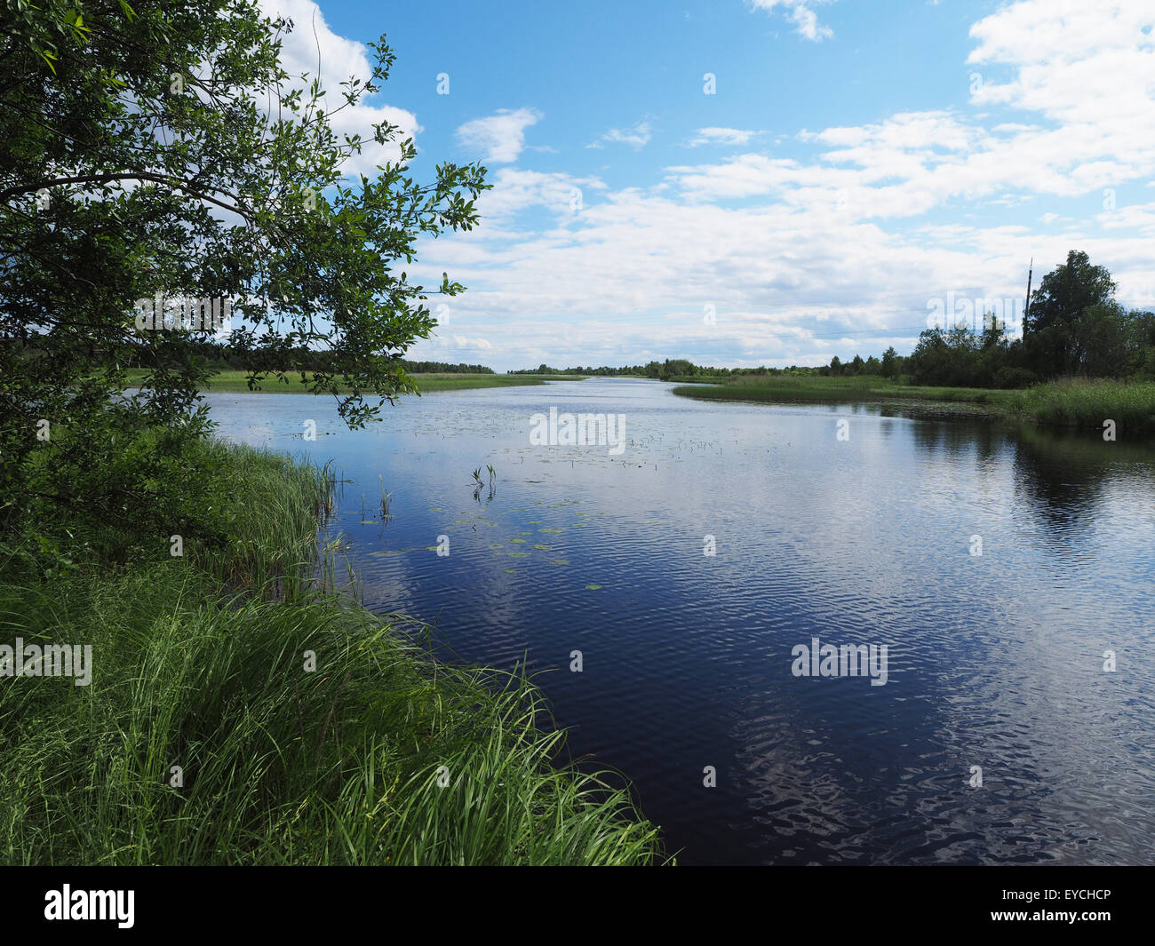 river in summer Stock Photo - Alamy