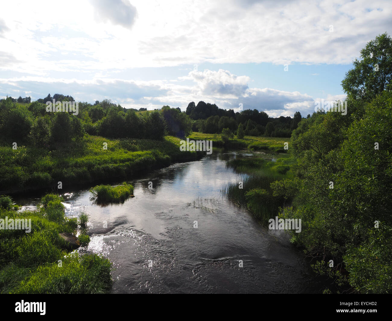 river in summer Stock Photo - Alamy