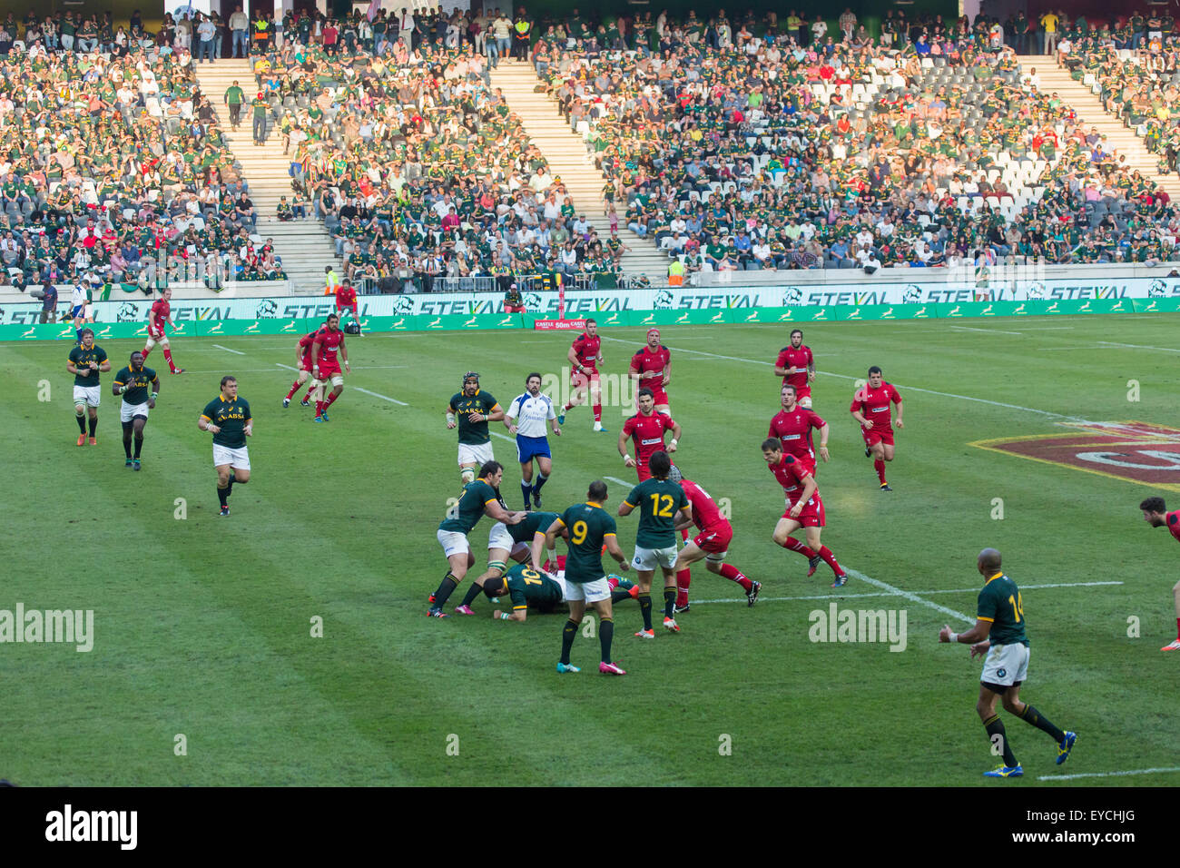 Springboks rugby hi-res stock photography and images - Alamy