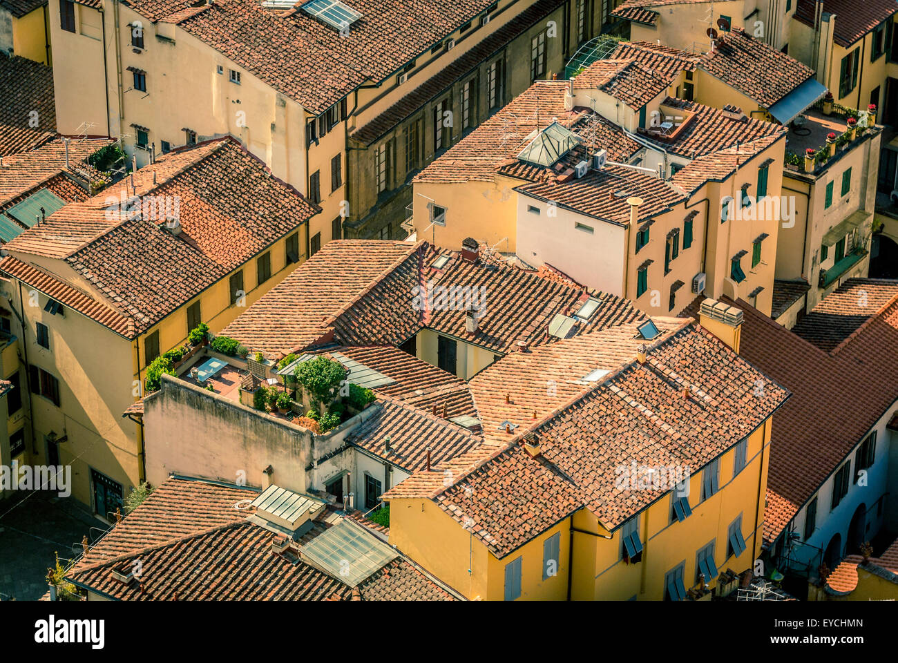 Terracotta rooftops of traditional Florentine buildings. Florence ...