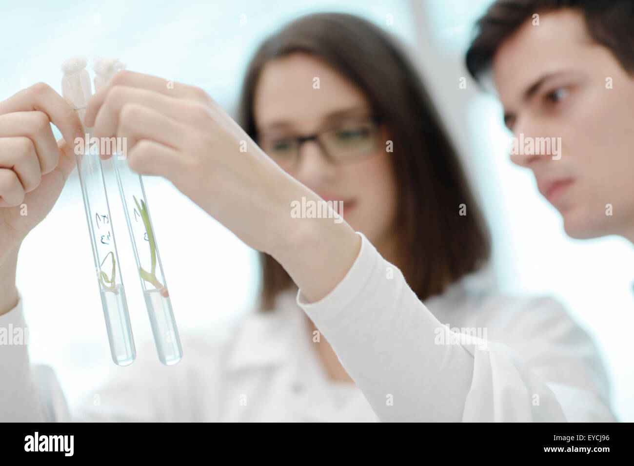 Scientists conducting an experiment with plants Stock Photo - Alamy