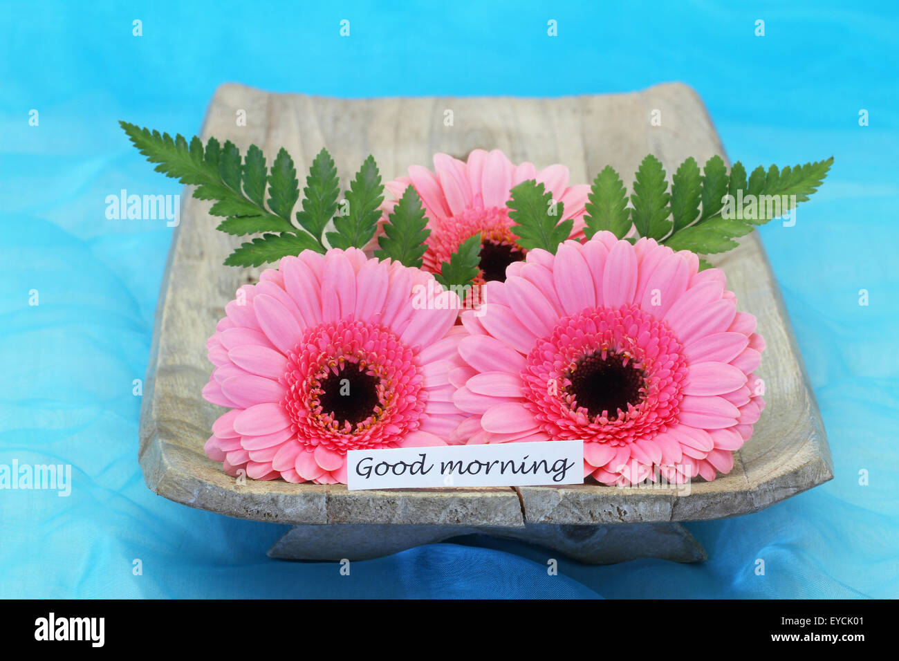 Morning greeting with daisies hi-res stock photography and images - Alamy