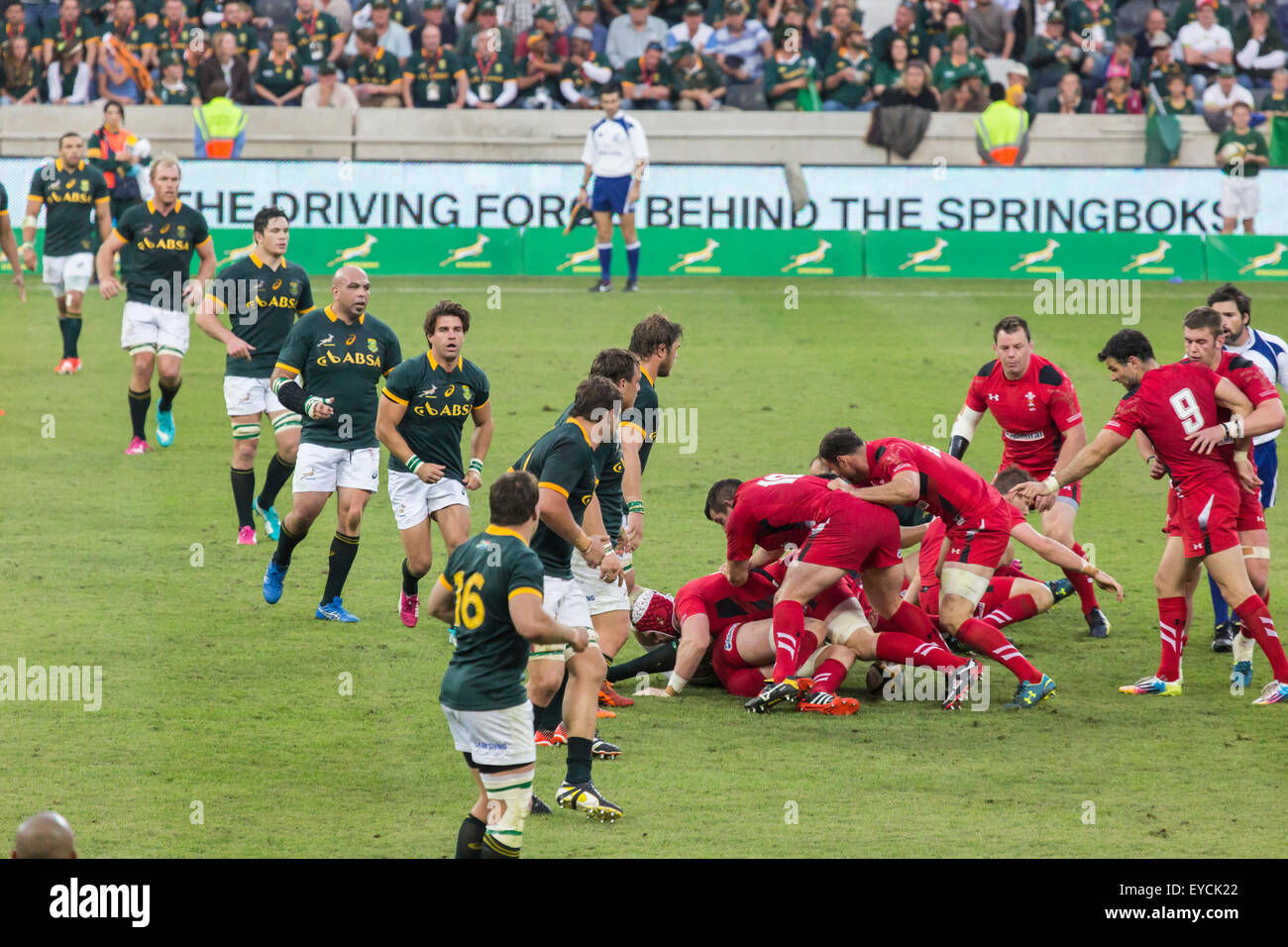 Springboks rugby hi-res stock photography and images - Alamy