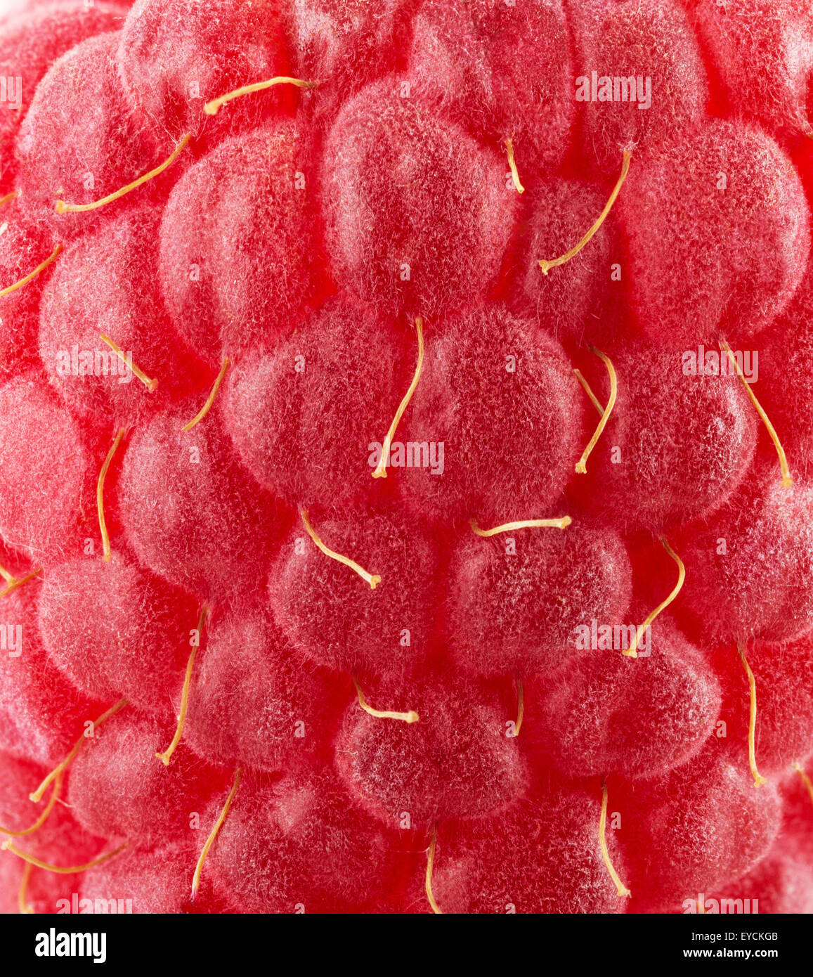 Raspberry hi-res stock photography and images - Alamy