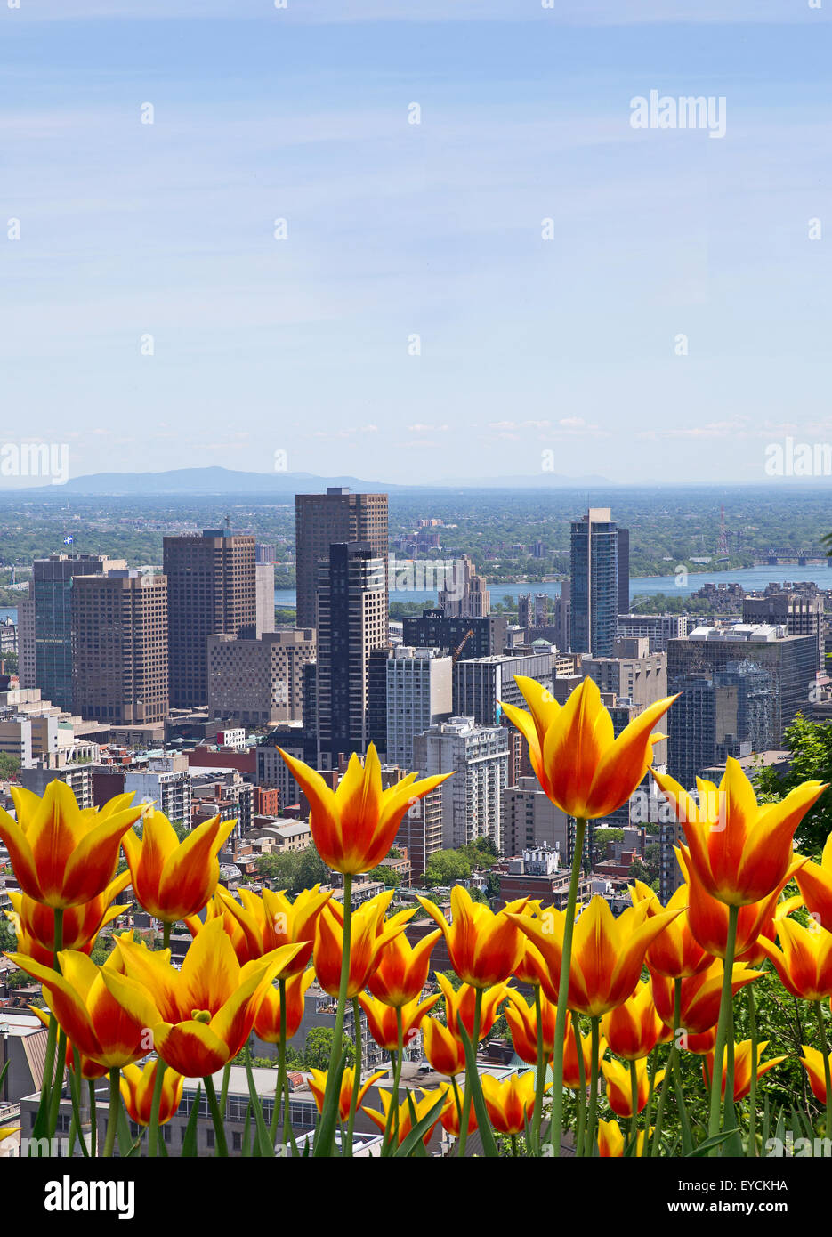 Montreal winter scenery hi-res stock photography and images - Alamy