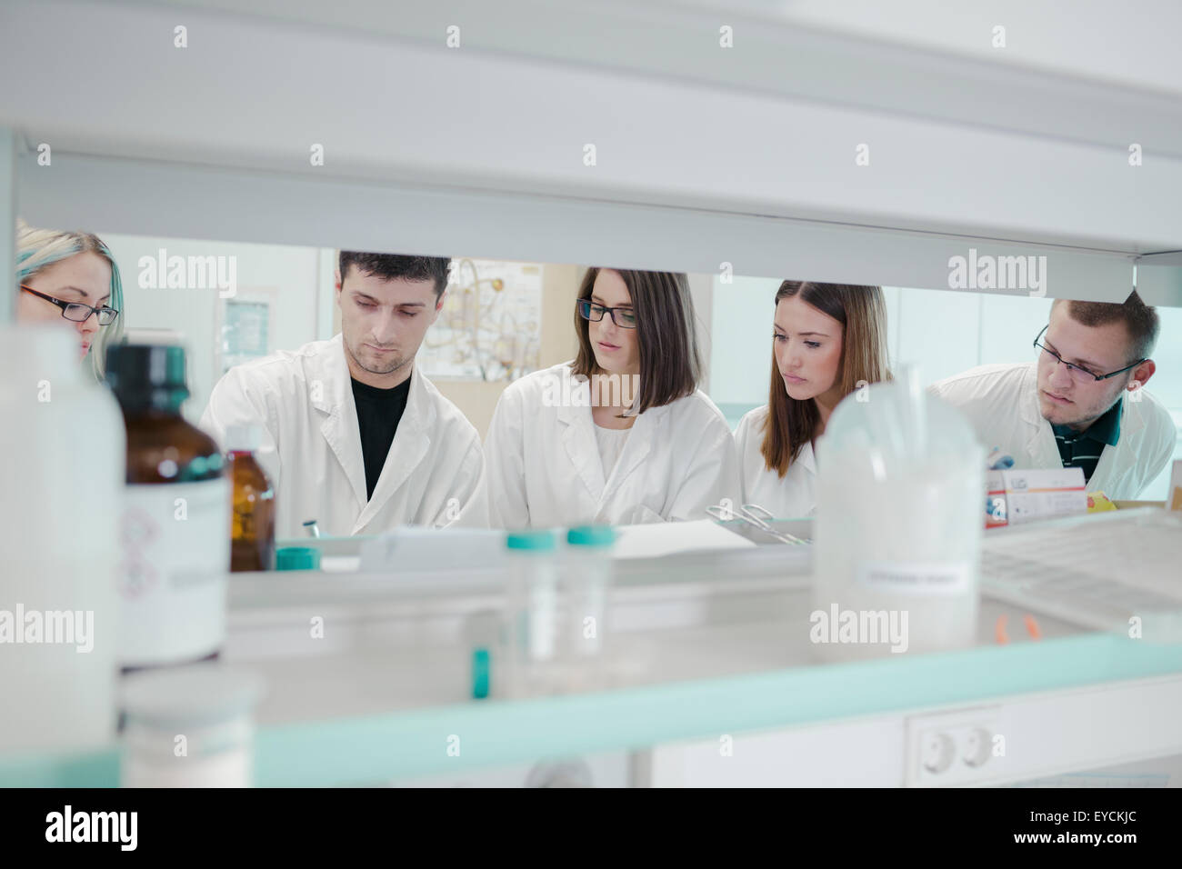 Scientist working in lab Stock Photo - Alamy