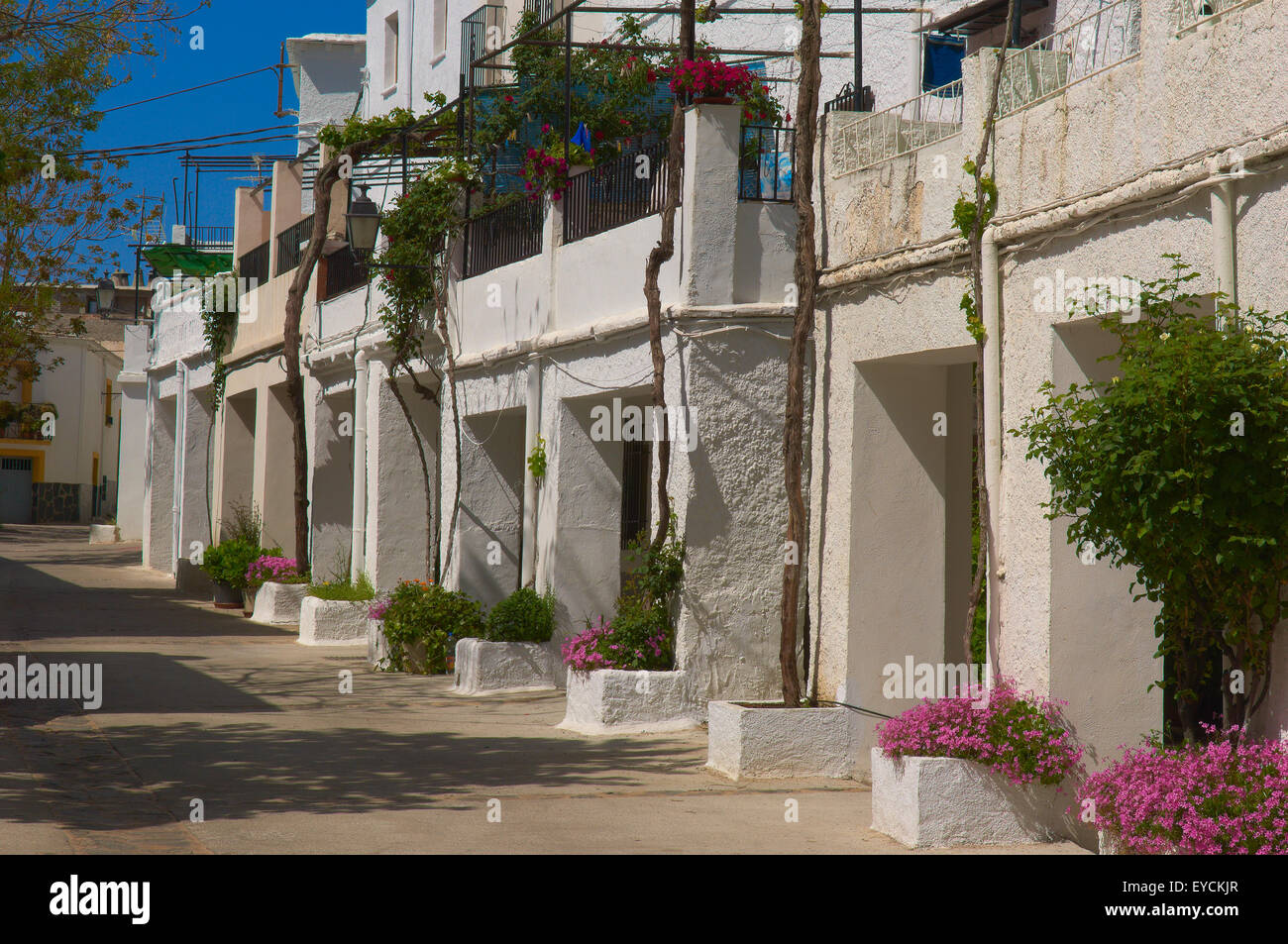 Pitres, Alpujarras Mountains area, Granada province, Andalusia, Spain ...