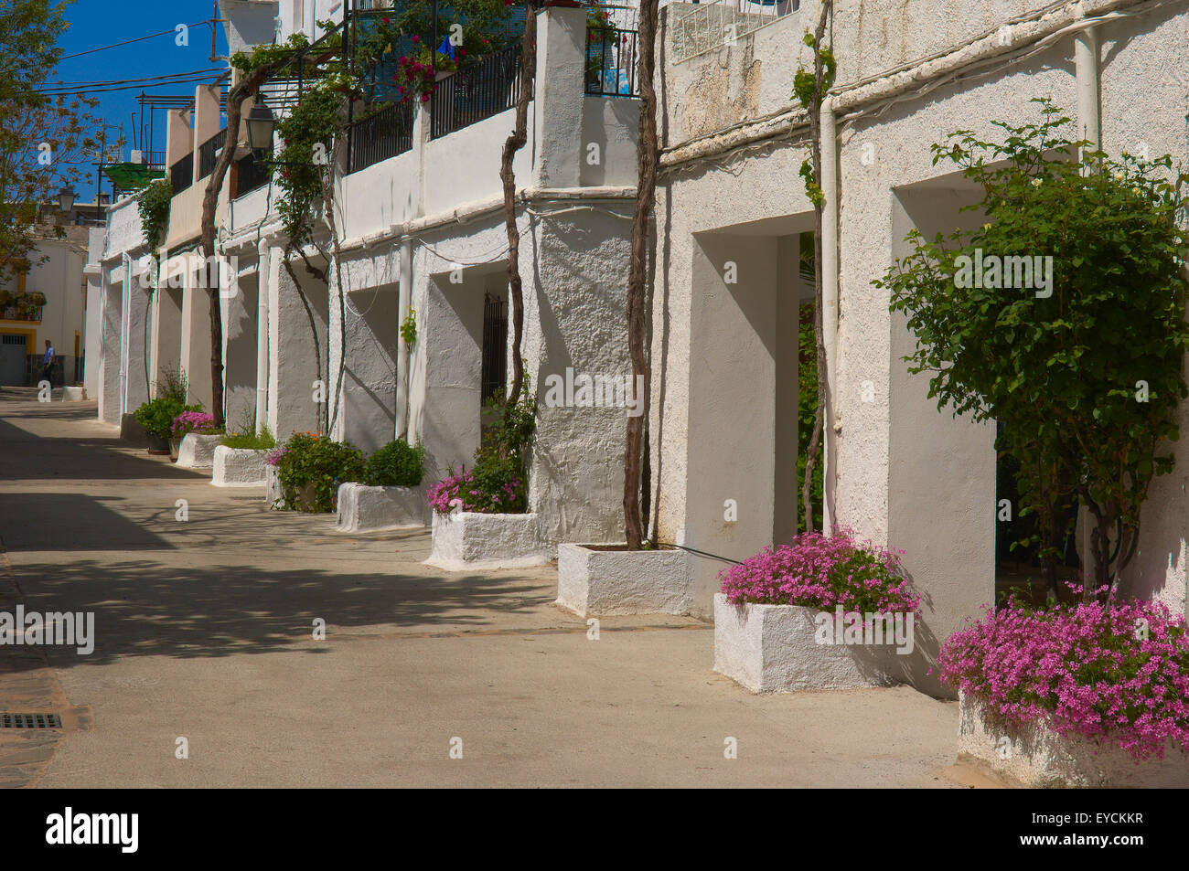 Pitres, Alpujarras Mountains area, Granada province, Andalusia, Spain ...