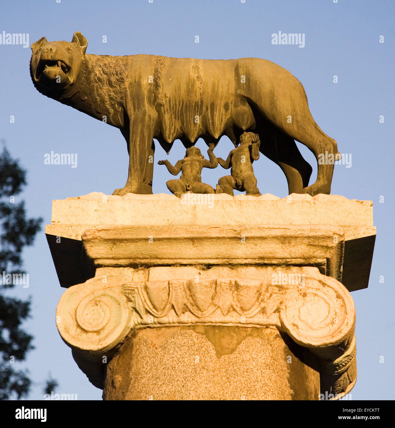 Rome Stature of Romulus and Remus Stock Photo - Alamy