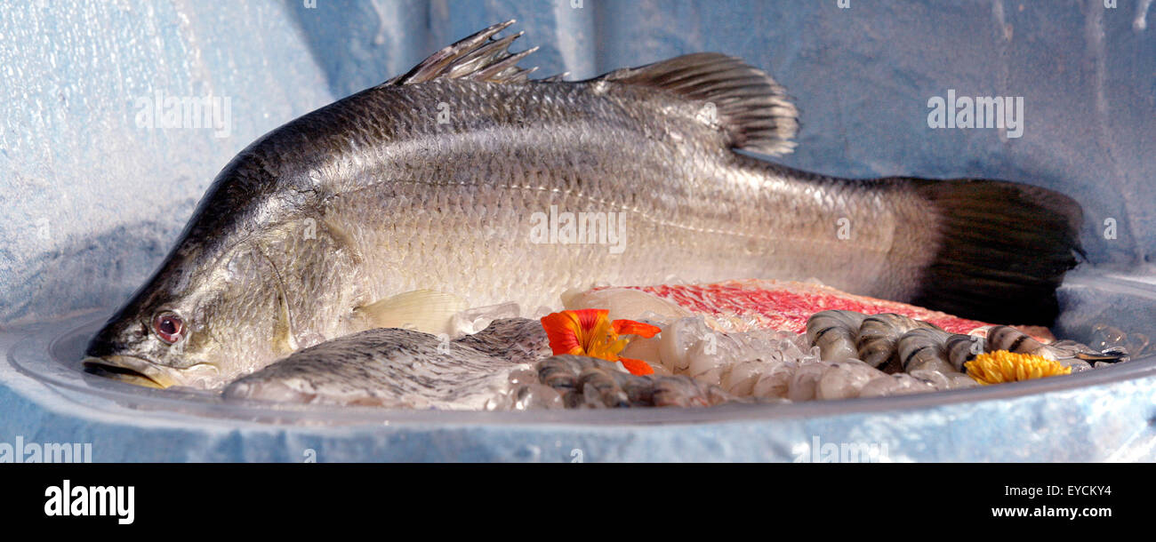 Rhine fishes hi-res stock photography and images - Alamy