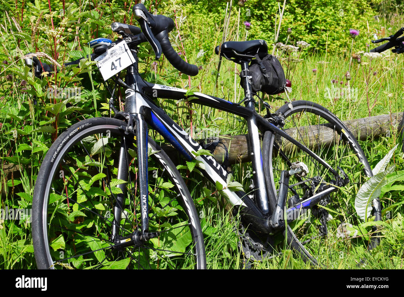 Road racing bicycle Stock Photo - Alamy