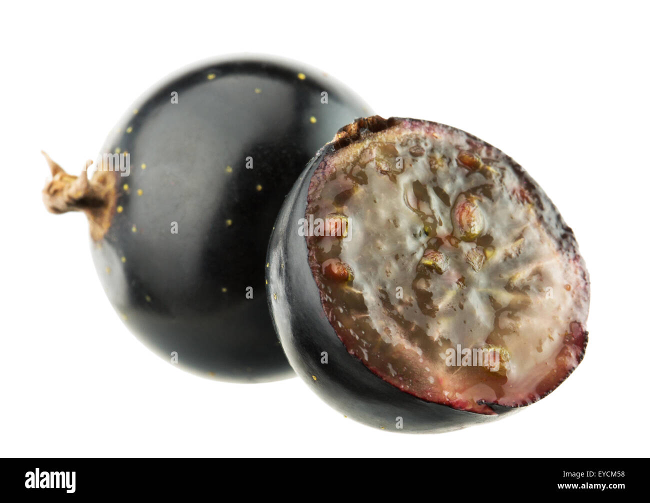 Black currants hi-res stock photography and images - Alamy